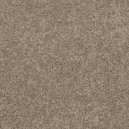 Simple Select Honey Nut Textured Interior Carpet in the Carpet ...