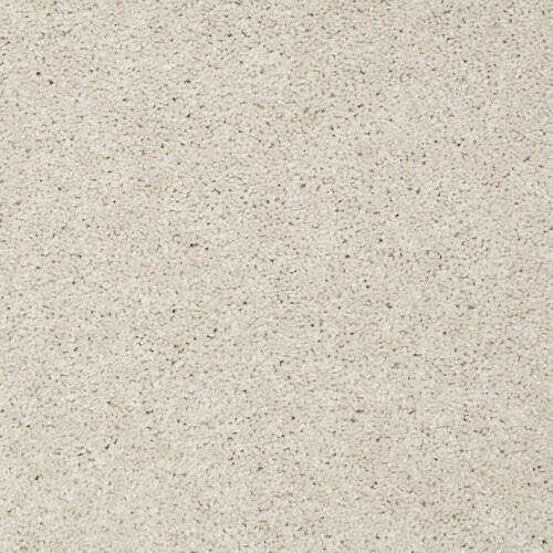 Simple Select Rich Cream Textured Interior Carpet in the Carpet ...