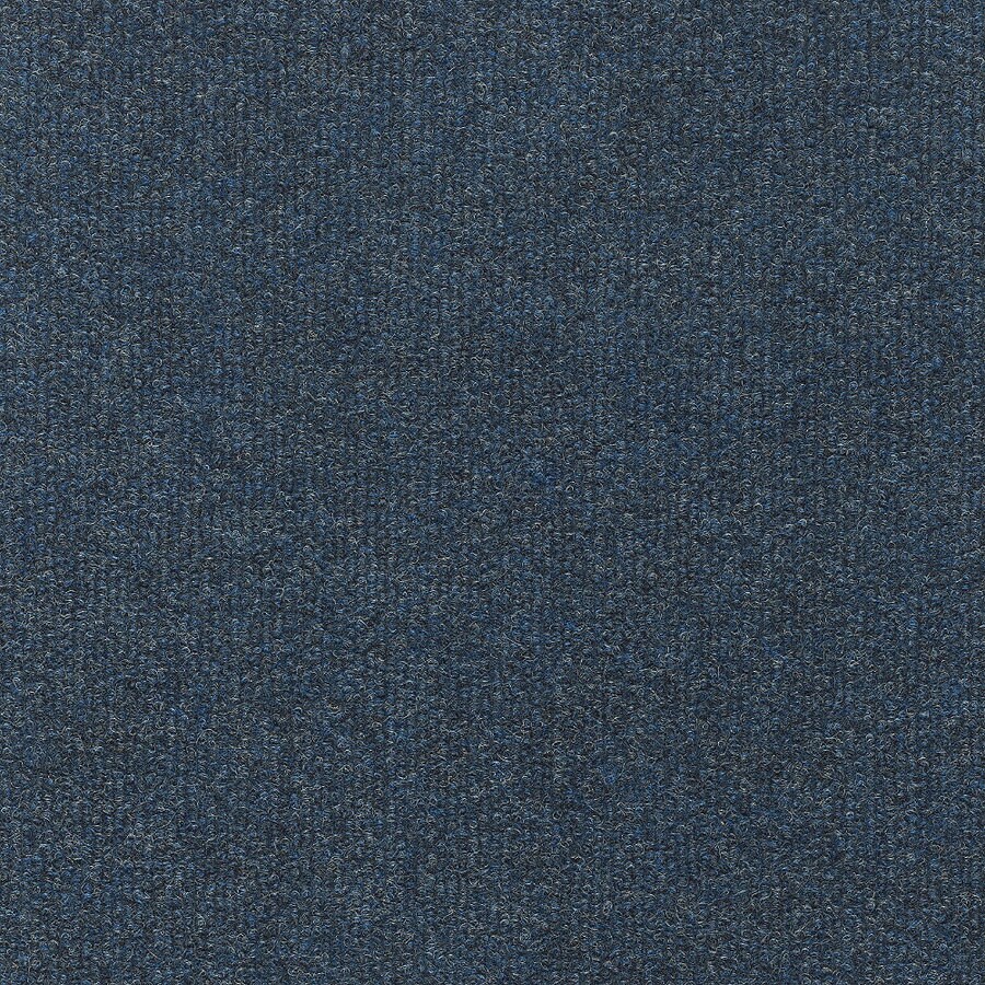 Shaw Home and Office Atlantic Berber/Loop Interior/Exterior Carpet at ...