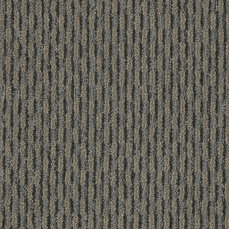 Shaw Home and Office Wrought Iron Berber/Loop Interior/Exterior Carpet ...