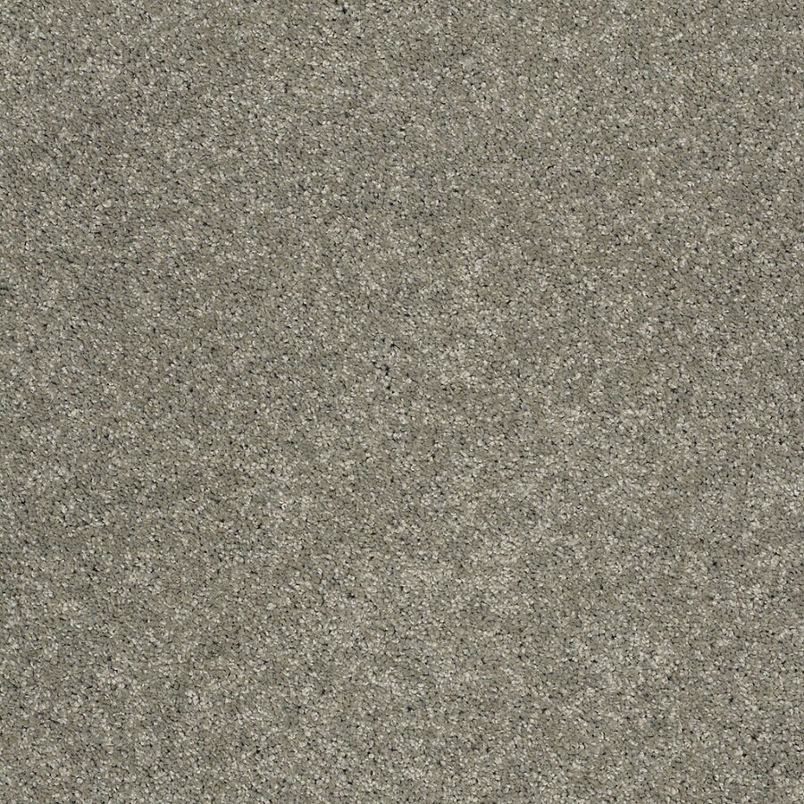 STAINMASTER TruSoft Luscious II (S) Cape Cod Carpet at Lowes.com