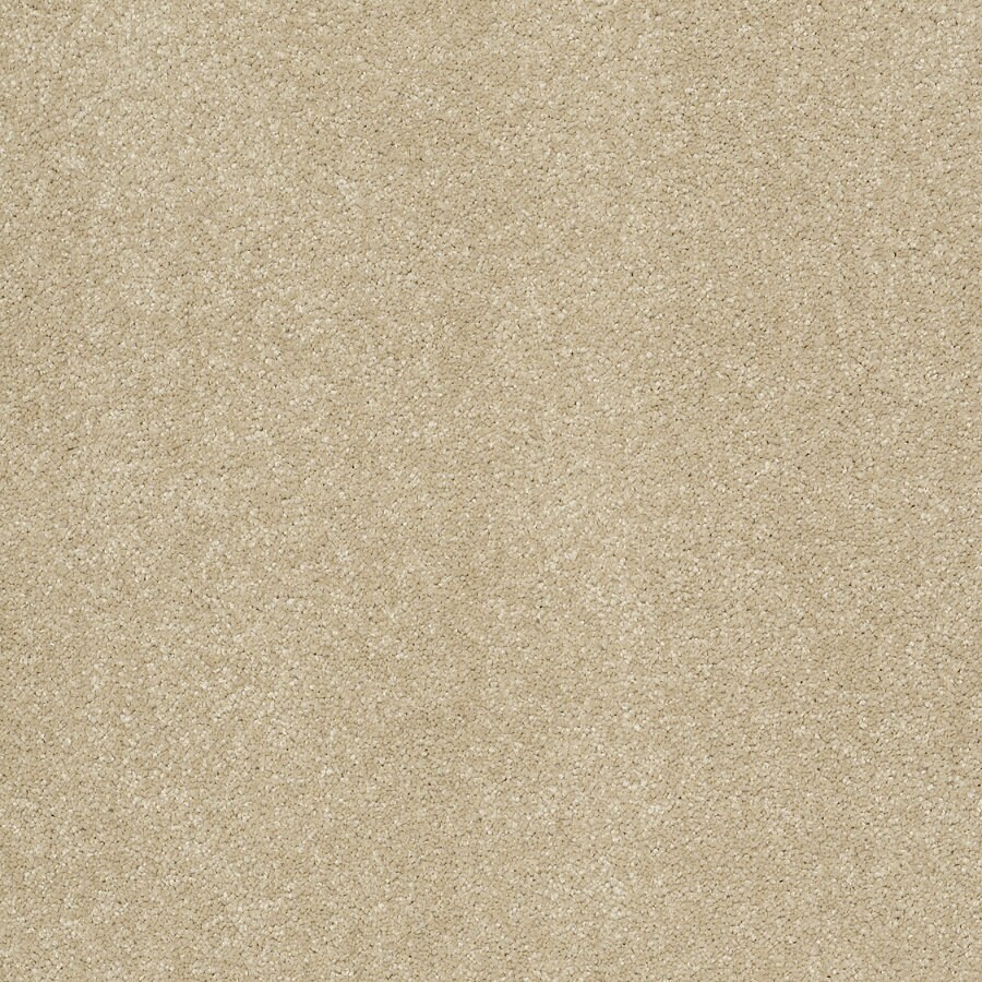 STAINMASTER TruSoft Luscious III (S) Parchment Carpet in the Exterior ...