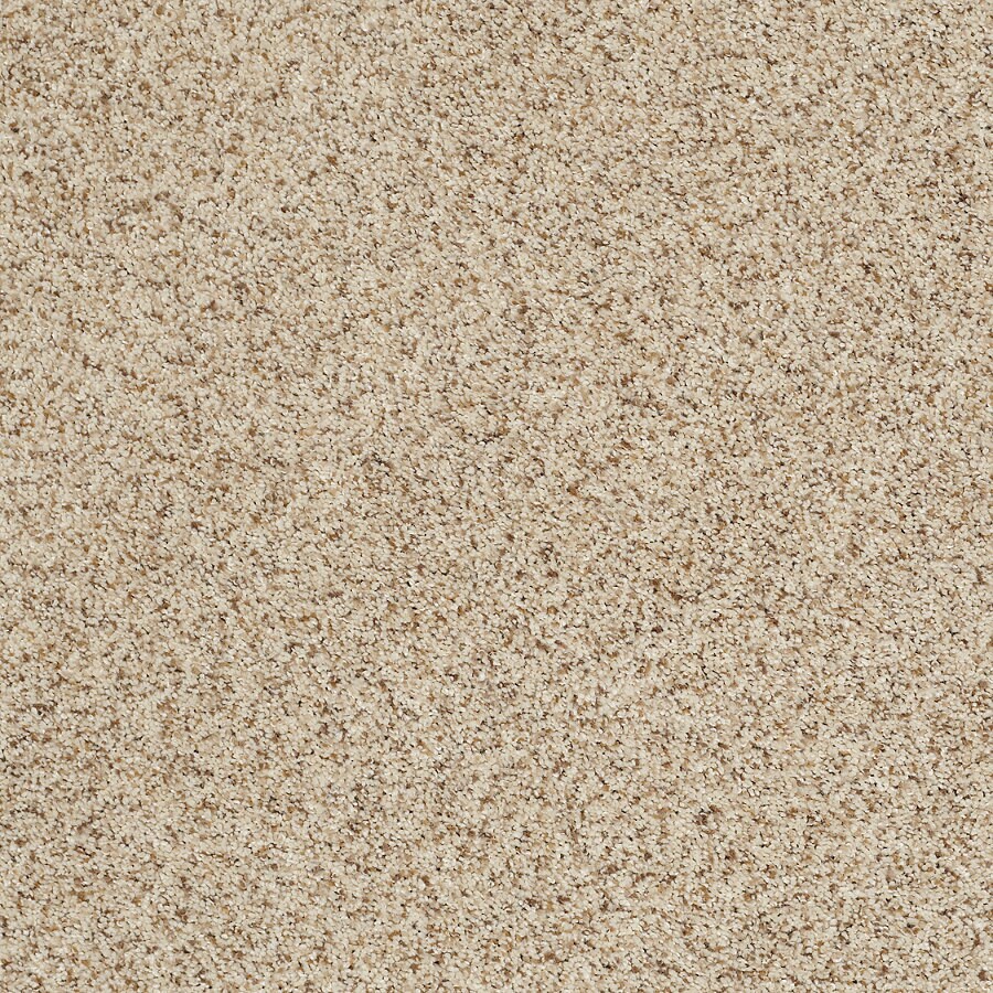 STAINMASTER TruSoft Luscious I (T) Beach Party Carpet at Lowes.com