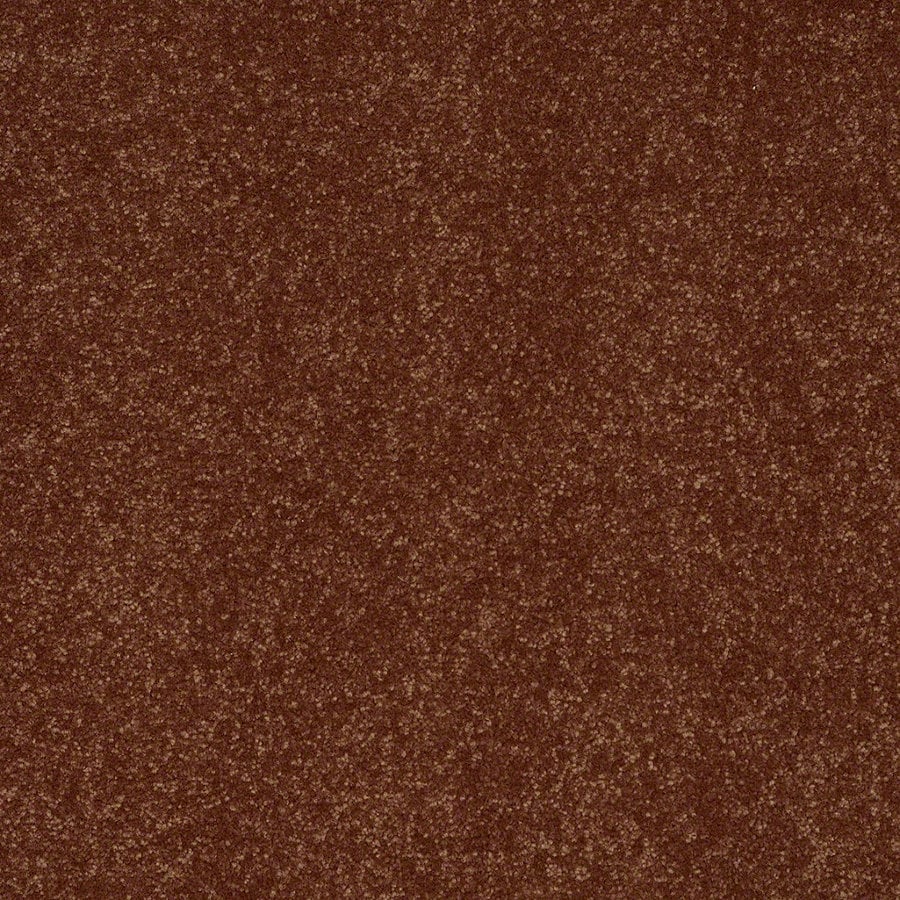 Shaw Cornerstone Copper Kettle Textured Interior Carpet at Lowes.com