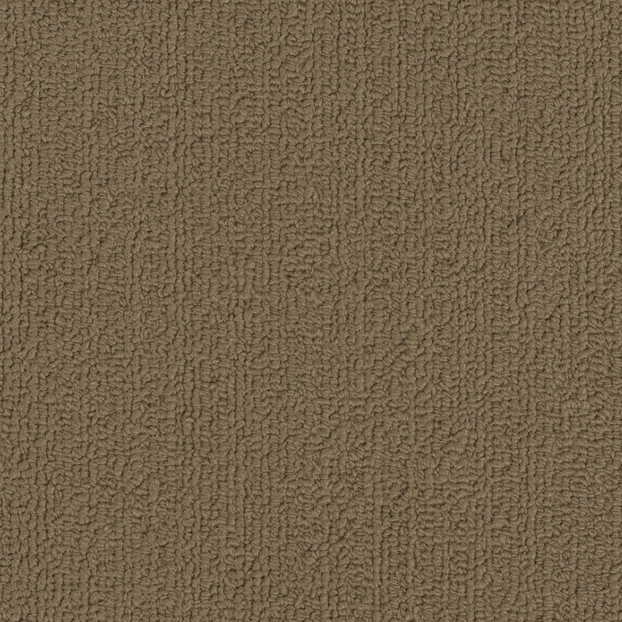 Shaw Accentuate BL Gilded Berber/Loop Interior Commercial Carpet at ...