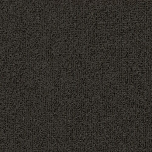 Shaw Accentuate BL Ebony Berber/Loop Interior Carpet at Lowes.com