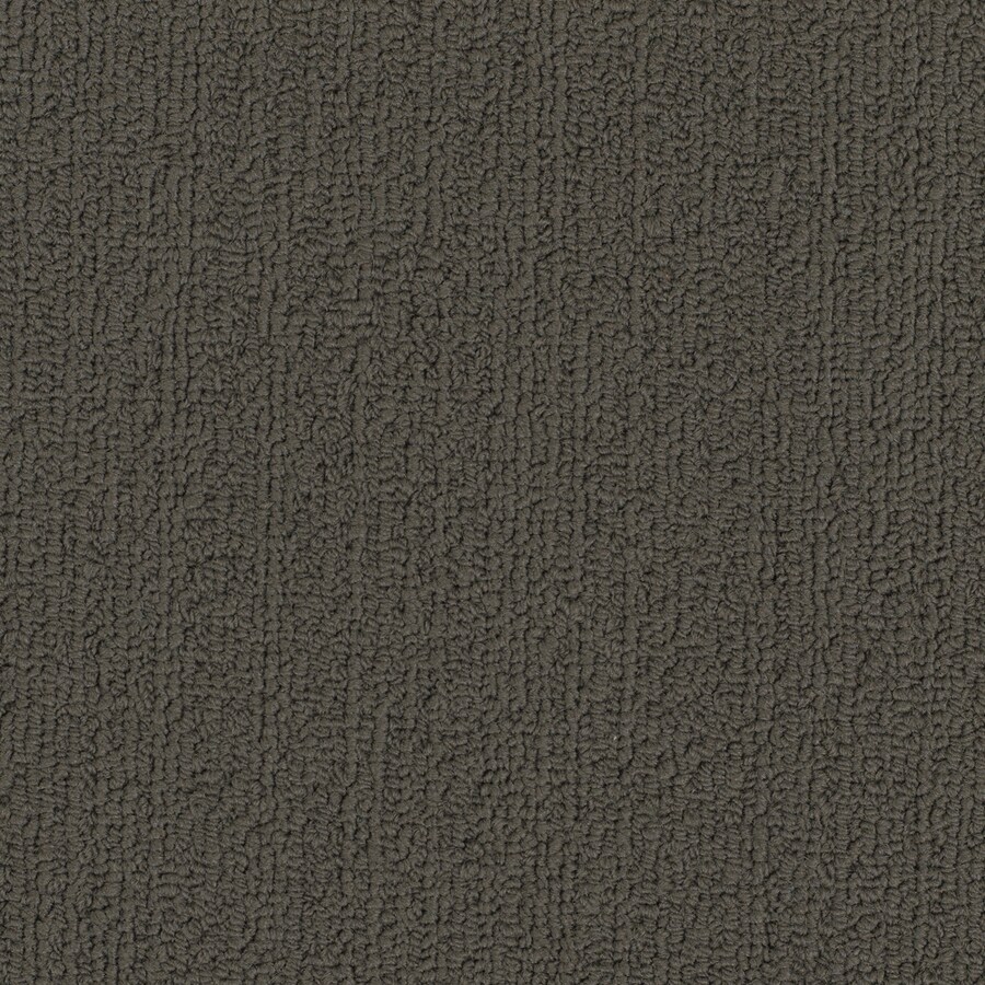Shaw Accentuate BL Taupe Berber/Loop Interior Commercial Carpet at ...