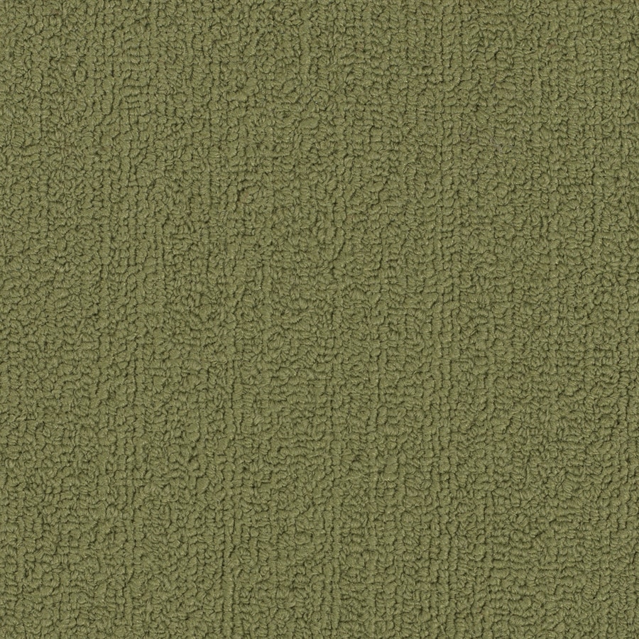 Shaw Brite Green Berber/Loop Carpet Tile in the Carpet Tile department ...