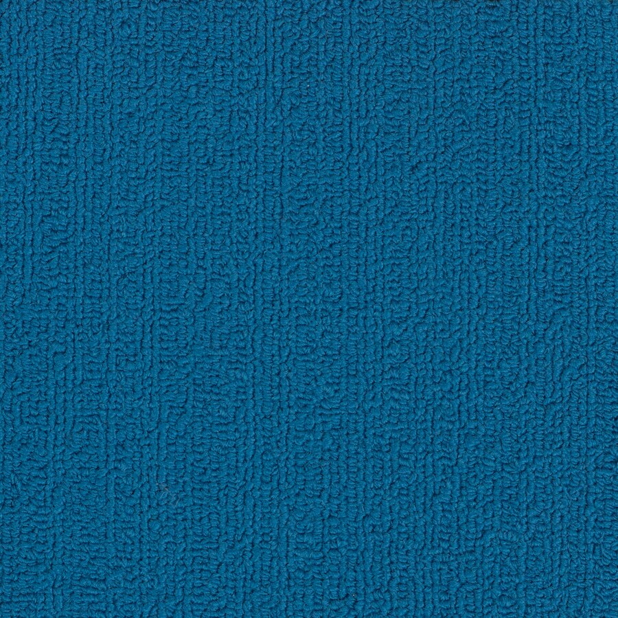 Shaw Blue Berber/Loop Carpet Tile in the Carpet Tile department at ...