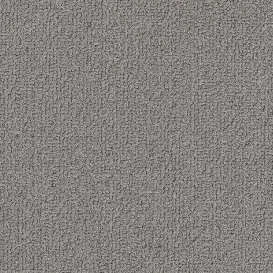 Shaw Sterling Berber/Loop Carpet Tile in the Carpet Tile department at ...