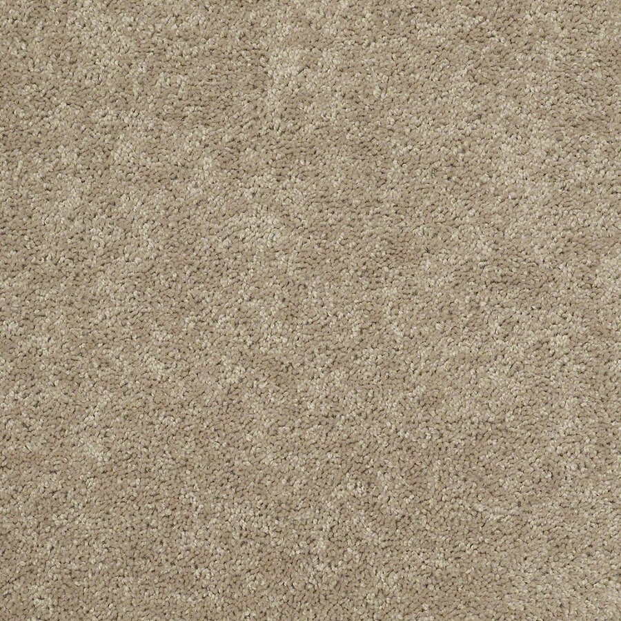 Shaw Batter Up I Honeycomb Textured Carpet at Lowes.com