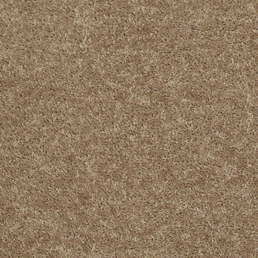 Shaw Batter Up II Golden Echoes Textured Carpet at Lowes.com