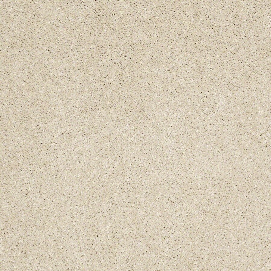 STAINMASTER TruSoft Luscious IV (S) Bone Carpet at Lowes.com