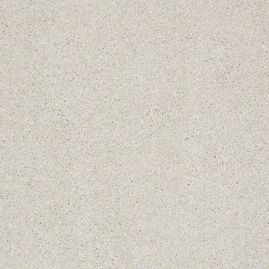 STAINMASTER TruSoft Luscious IV (S) Mist Carpet at Lowes.com