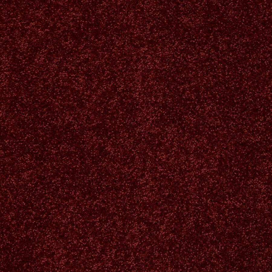 Shaw Hubbard 15-ft Red Wine Textured Indoor Carpet at Lowes.com