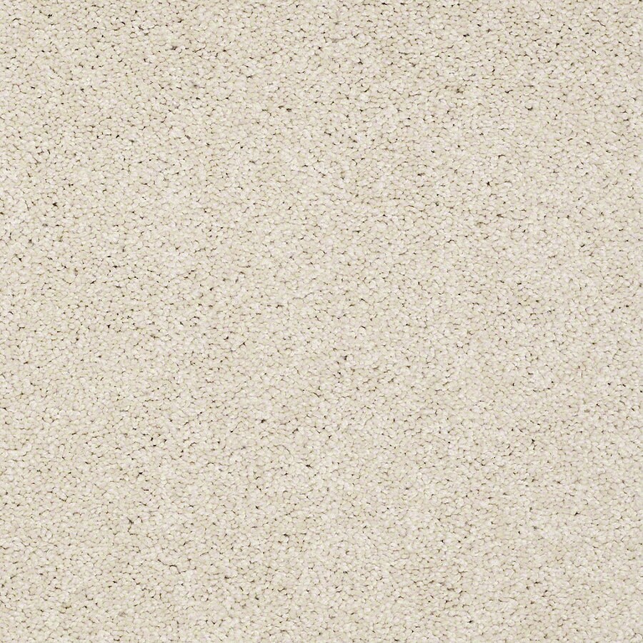 Shaw 15 Ft Wide Program Turtle Dove Carpet at Lowes.com