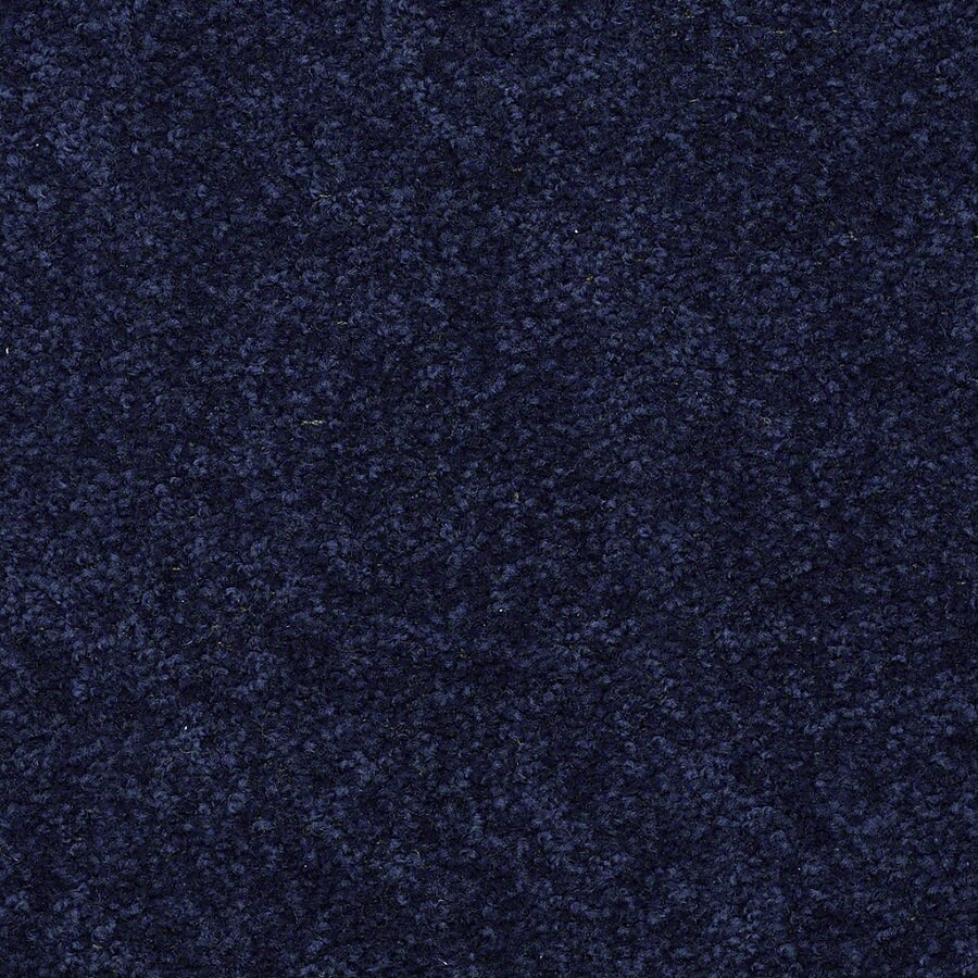 Shaw Express Ship Darkest Denim Carpet at Lowes.com