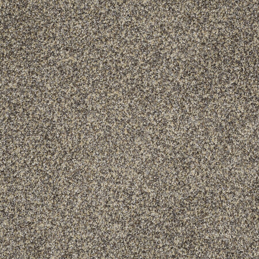 Shaw Private Oasis II 8 X 11 (ft) Dakota Solid Area Rug at Lowes.com
