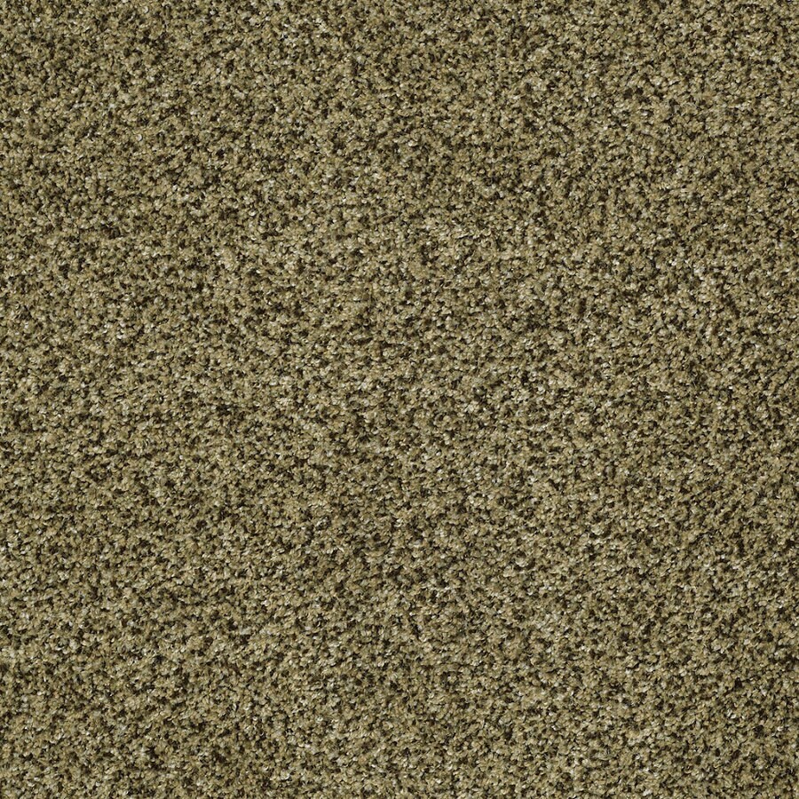 Shaw Private Oasis III 8 x 11 Verde Solid Area Rug at Lowes.com