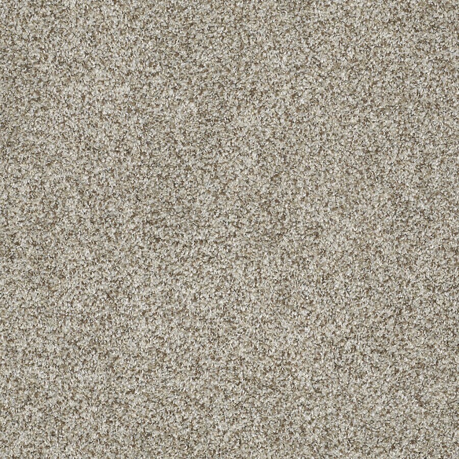 Shaw Private Oasis III 8 x 11 Key West Solid Area Rug at Lowes.com