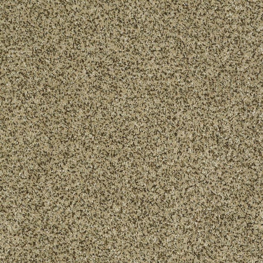 Shaw Private Oasis IV 6 x 9 Papillion Solid Area Rug at Lowes.com