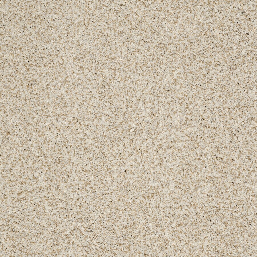Shaw Private Oasis IV 8 X 11 (ft) Tranquility Solid Area Rug at Lowes.com