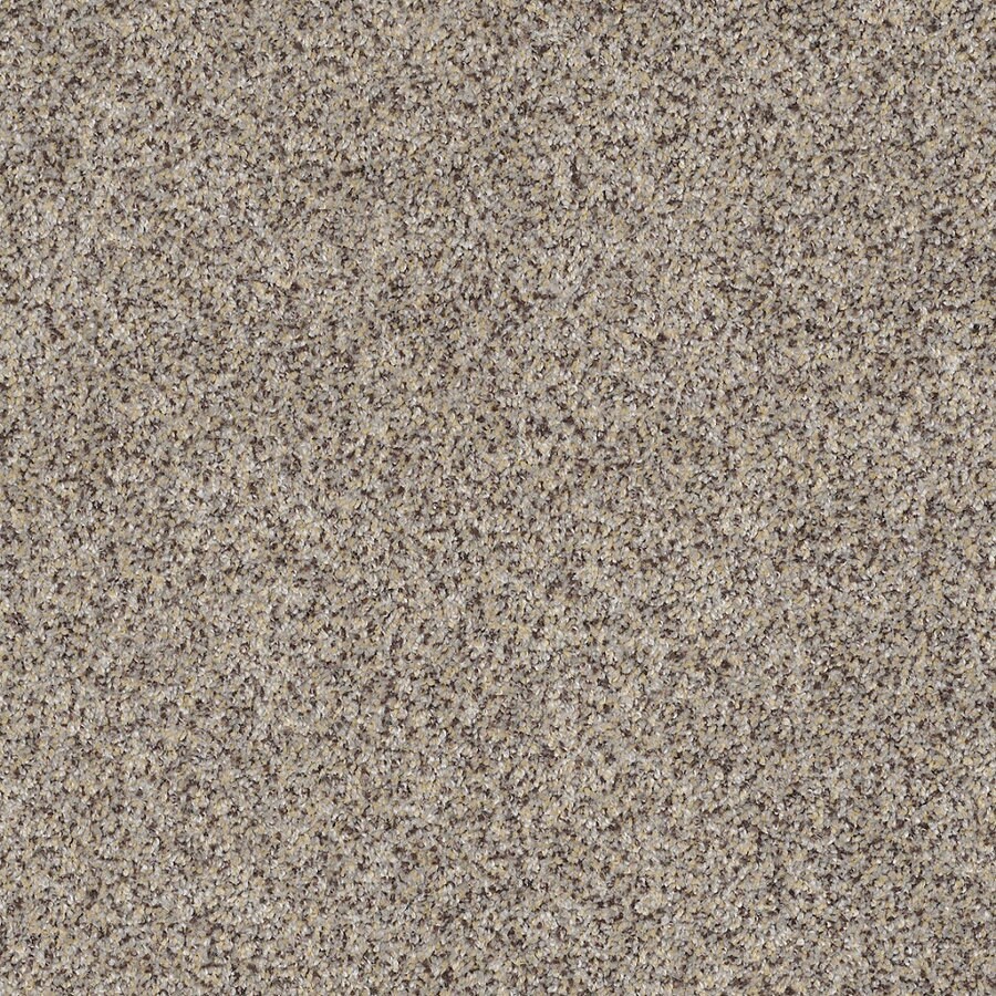 Shaw Private Oasis IV 8 X 11 (ft) Aztec Wave Solid Area Rug at Lowes.com