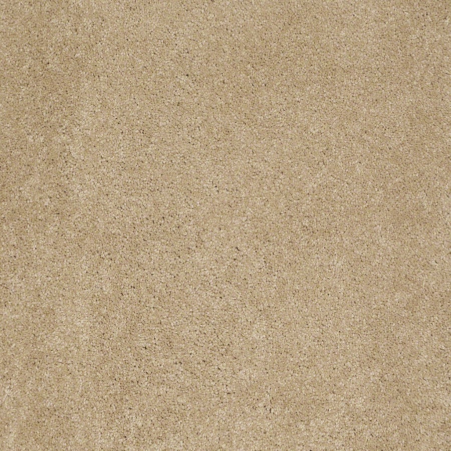 Shaw Supreme Delight 2 6 X 9 (ft) Sunspot Solid Area Rug at Lowes.com