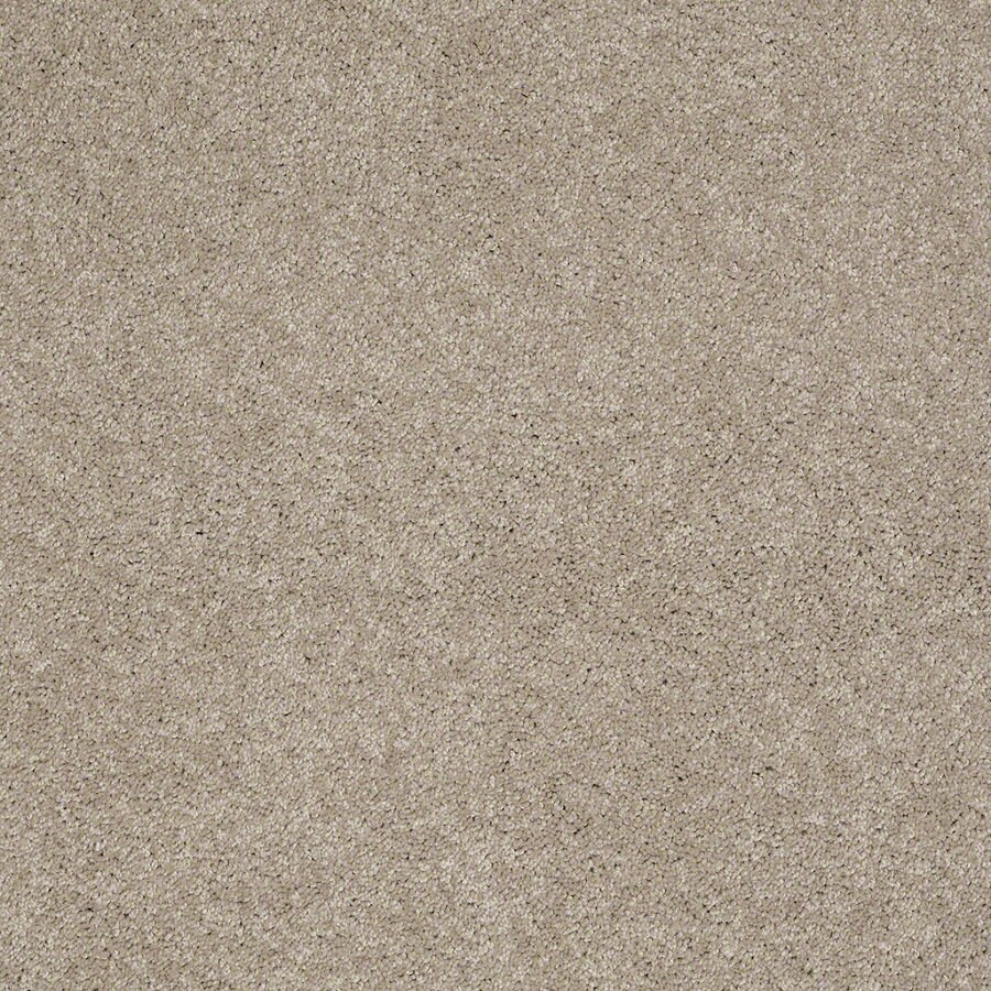 Shaw Supreme Delight 1 8 x 11 Park Avenue Solid Area Rug at Lowes.com