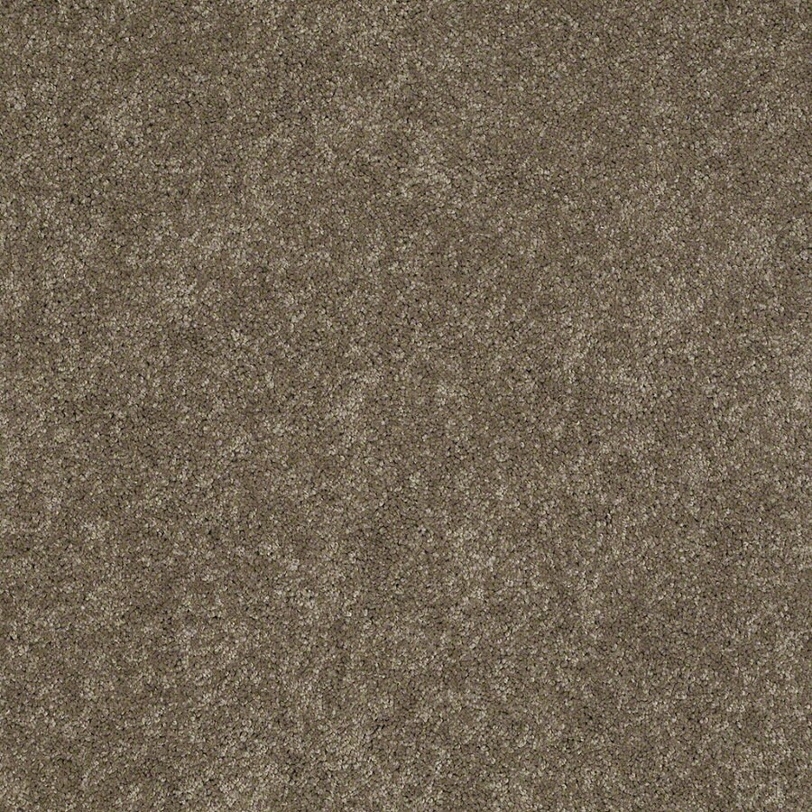 Shaw Supreme Delight 1 8 x 11 Boardwalk Solid Area Rug at Lowes.com