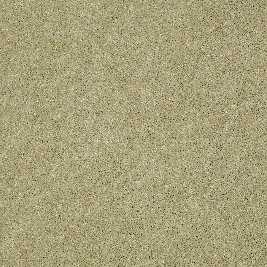 Shaw Supreme Delight 2 8 x 11 Sprout Solid Area Rug at Lowes.com