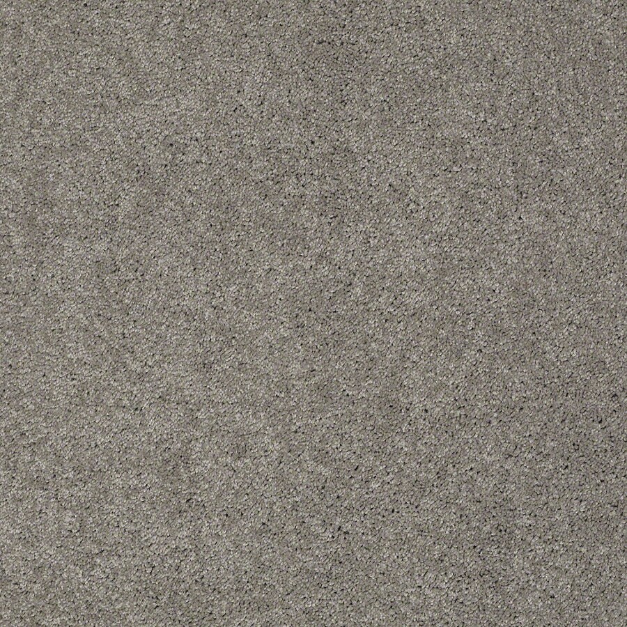Shaw Supreme Delight 2 8 x 11 Heavy Metal Solid Area Rug at Lowes.com