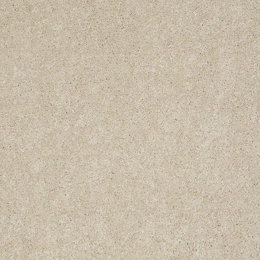 Shaw 8 x 11 Cheesecake Solid Area Rug at Lowes.com