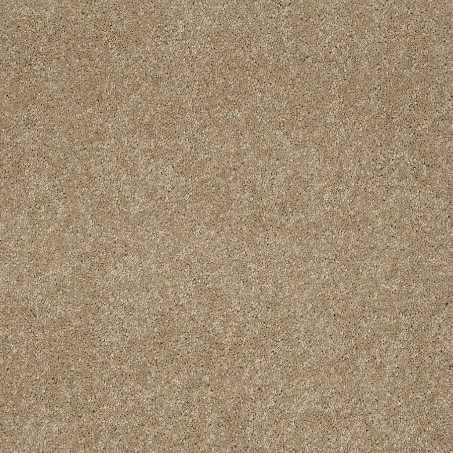 Shaw Supreme Delight 3 8 x 11 Trail Solid Area Rug at Lowes.com