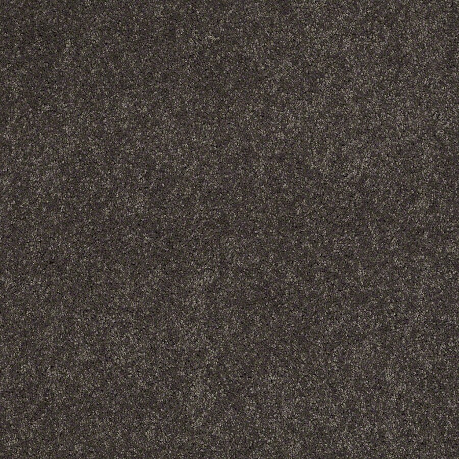 Shaw Supreme Delight 3 8 X 11 (ft) Nightfall Solid Area Rug at Lowes.com