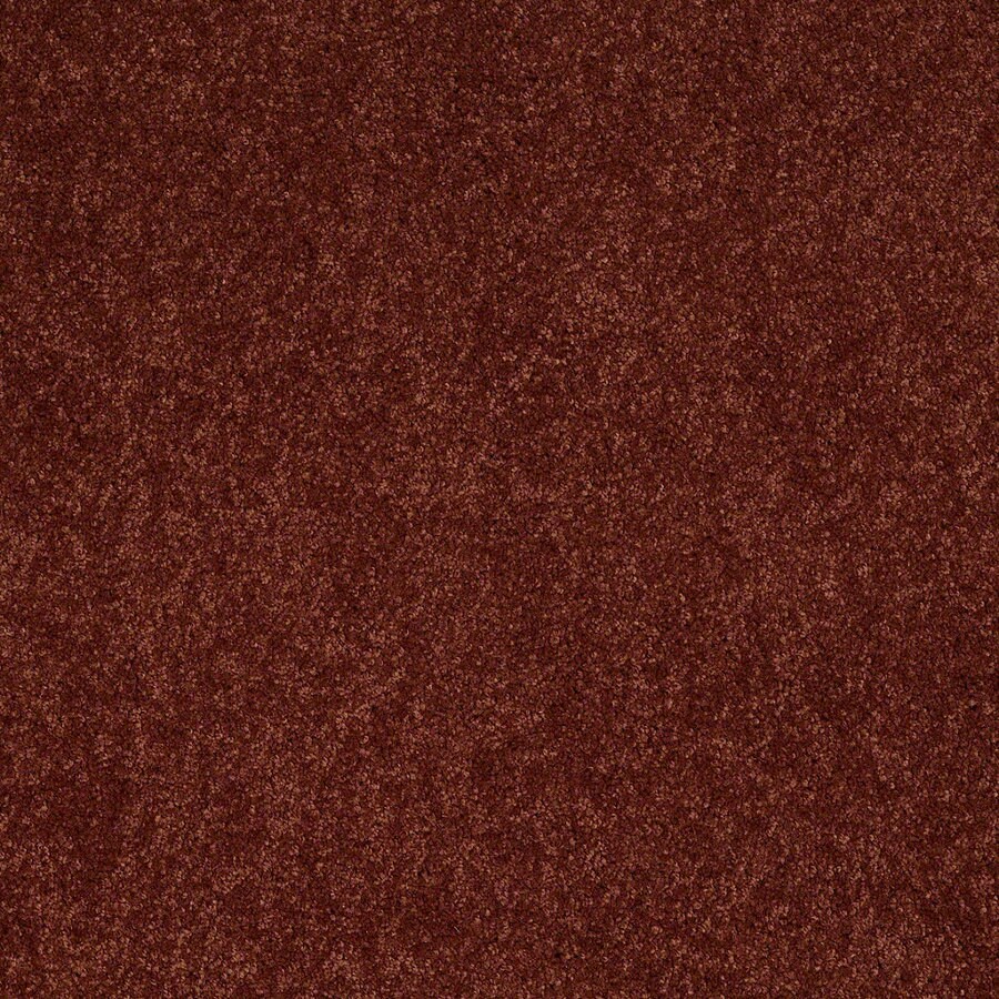 Shaw Supreme Delight 3 6 X 9 (ft) Chili Solid Area Rug at Lowes.com