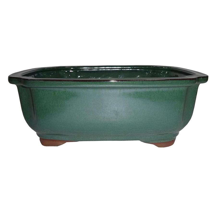 Brussel's Bonsai Forest Green Glaze Bonsai Pots at Lowes.com