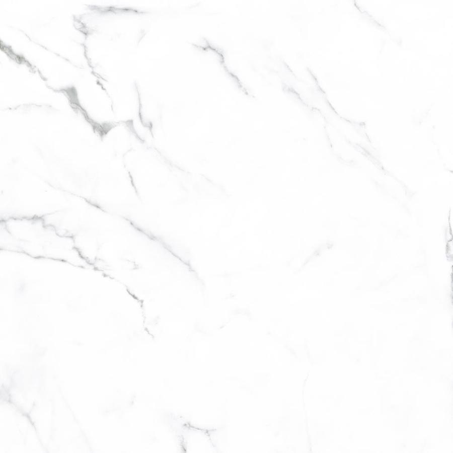 Viena Calacata White Ceramic Marble Floor and Wall Tile Sample (Common ...