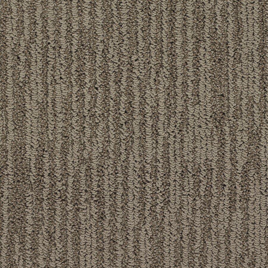 Royalty Carpet Mills Active Family King Tut Fashion Forward Indoor ...