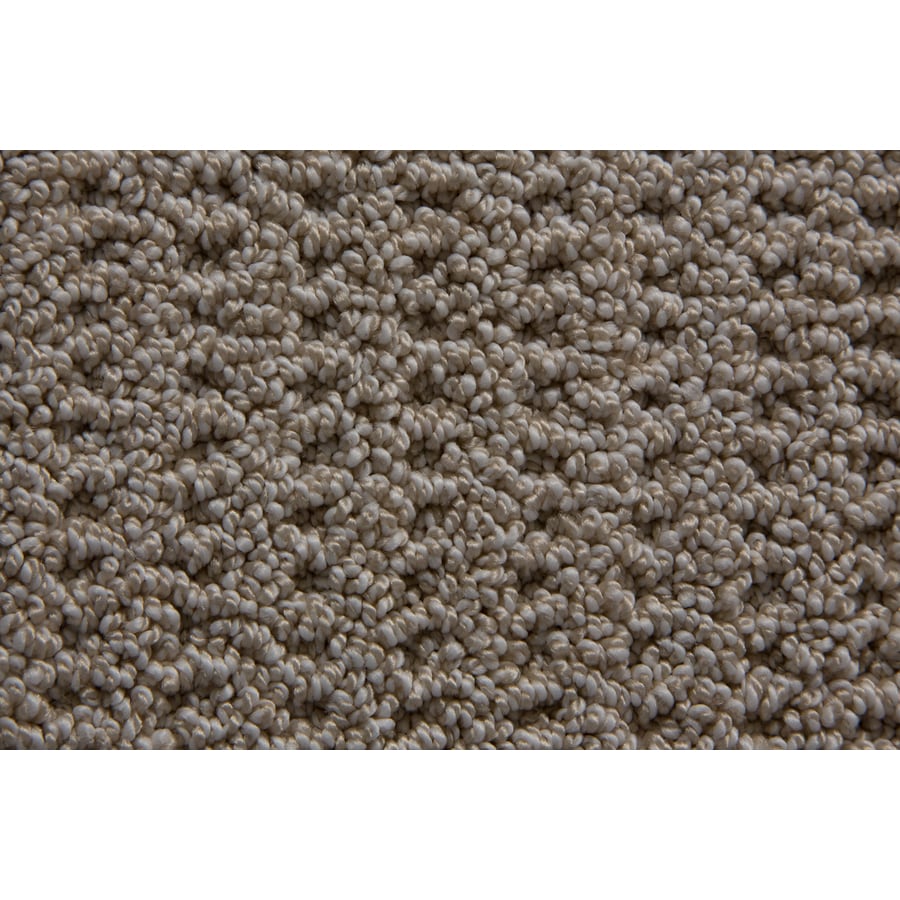 Moda Carpet TruSoft Stainmaster Gallery Antique Multi-Level Loop Pile ...