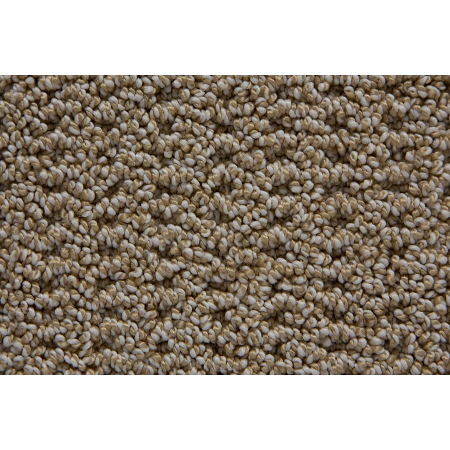 Moda Carpet TruSoft Stainmaster Gallery Playa Multi-Level Loop Pile ...