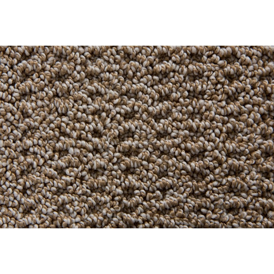 Moda Carpet TruSoft Stainmaster Gallery Cavern Multi-Level Loop Pile ...