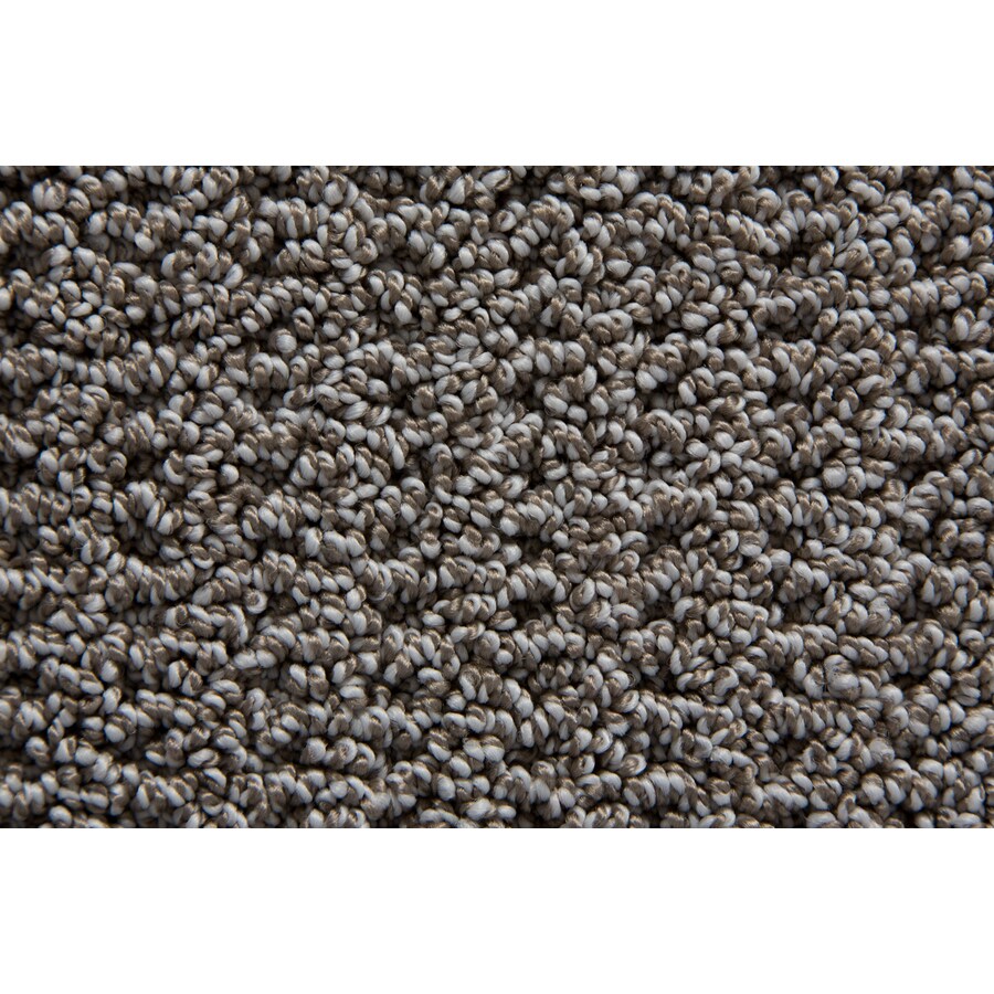 Moda Carpet TruSoft Stainmaster Gallery Tweed Multi-Level Loop Pile ...