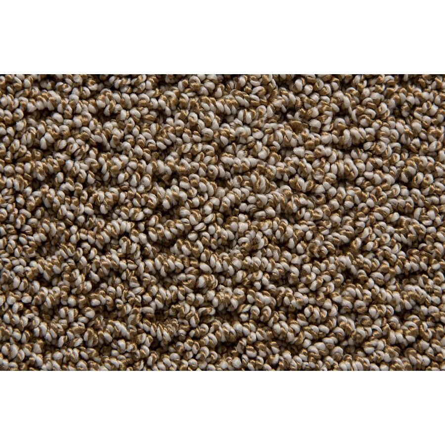 Moda Carpet TruSoft Stainmaster Gallery Beacon Multi-Level Loop Pile ...