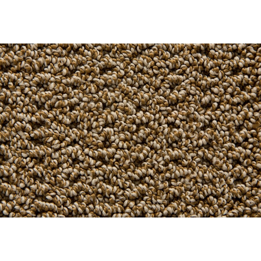 Moda Carpet TruSoft Stainmaster Gallery Bronze Multi-Level Loop Pile ...