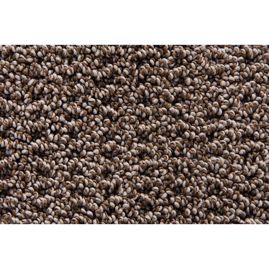 Moda Carpet TruSoft Stainmaster Gallery Burlwood Multi-Level Loop Pile ...