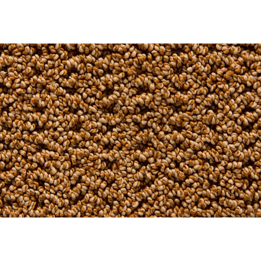 Moda Carpet TruSoft Stainmaster Gallery Sachet Multi-Level Loop Pile ...