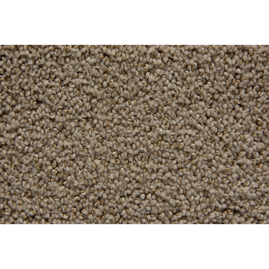 Moda Carpet Trusoft Stainmaster Gallery Chalk Cut and Loop Indoor ...