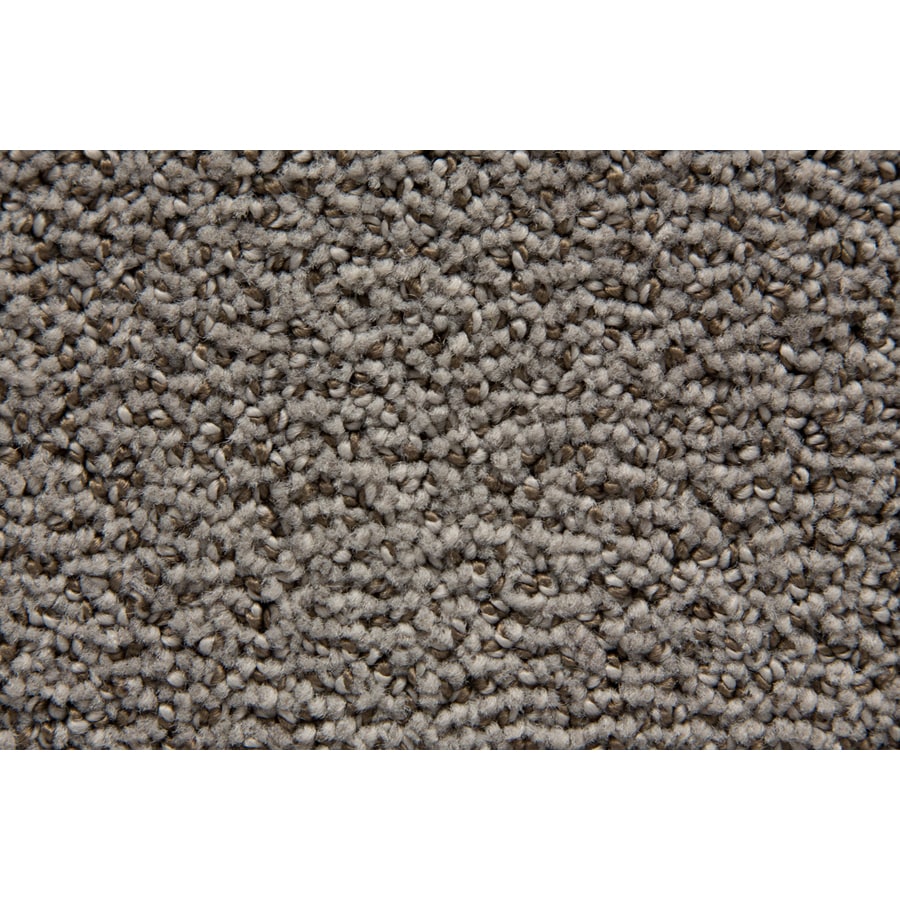 Moda Carpet Trusoft Stainmaster Gallery Hearth Cut and Loop Indoor ...