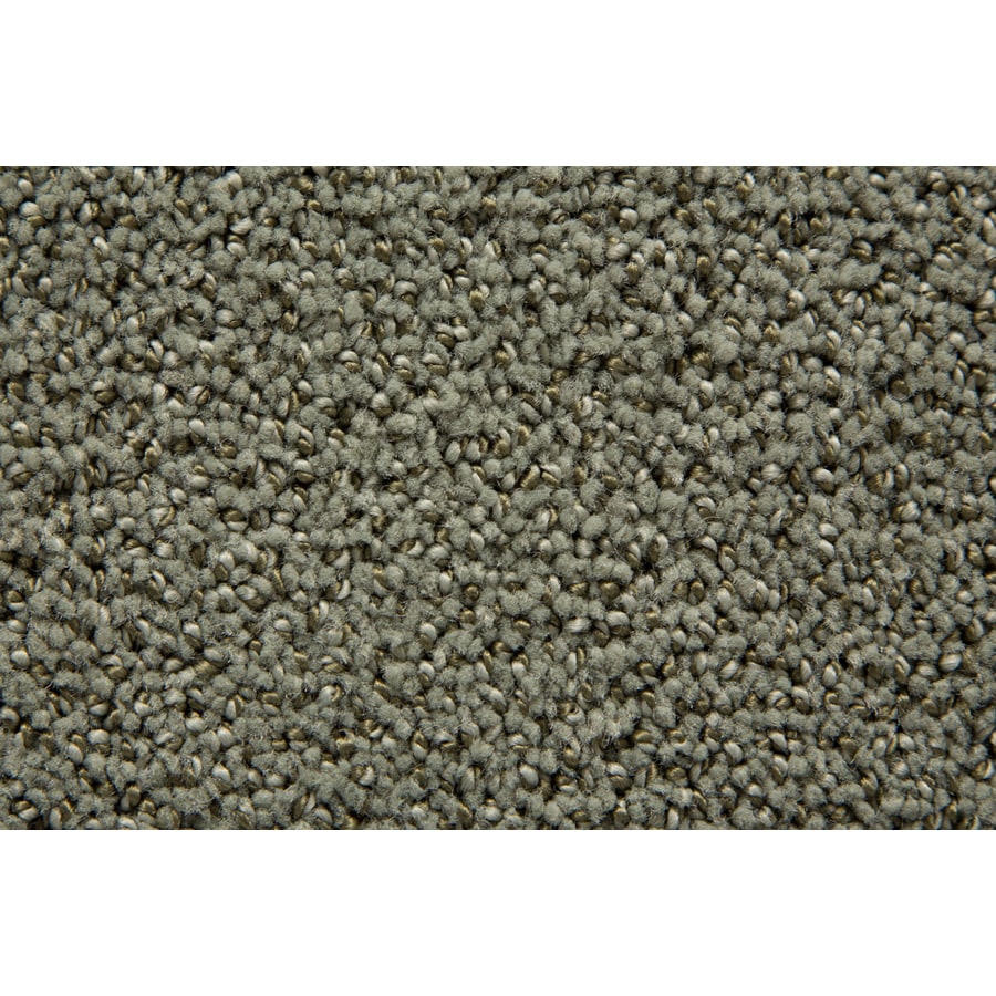 Moda Carpet Trusoft Stainmaster Gallery Eucalyptus Cut and Loop Indoor ...